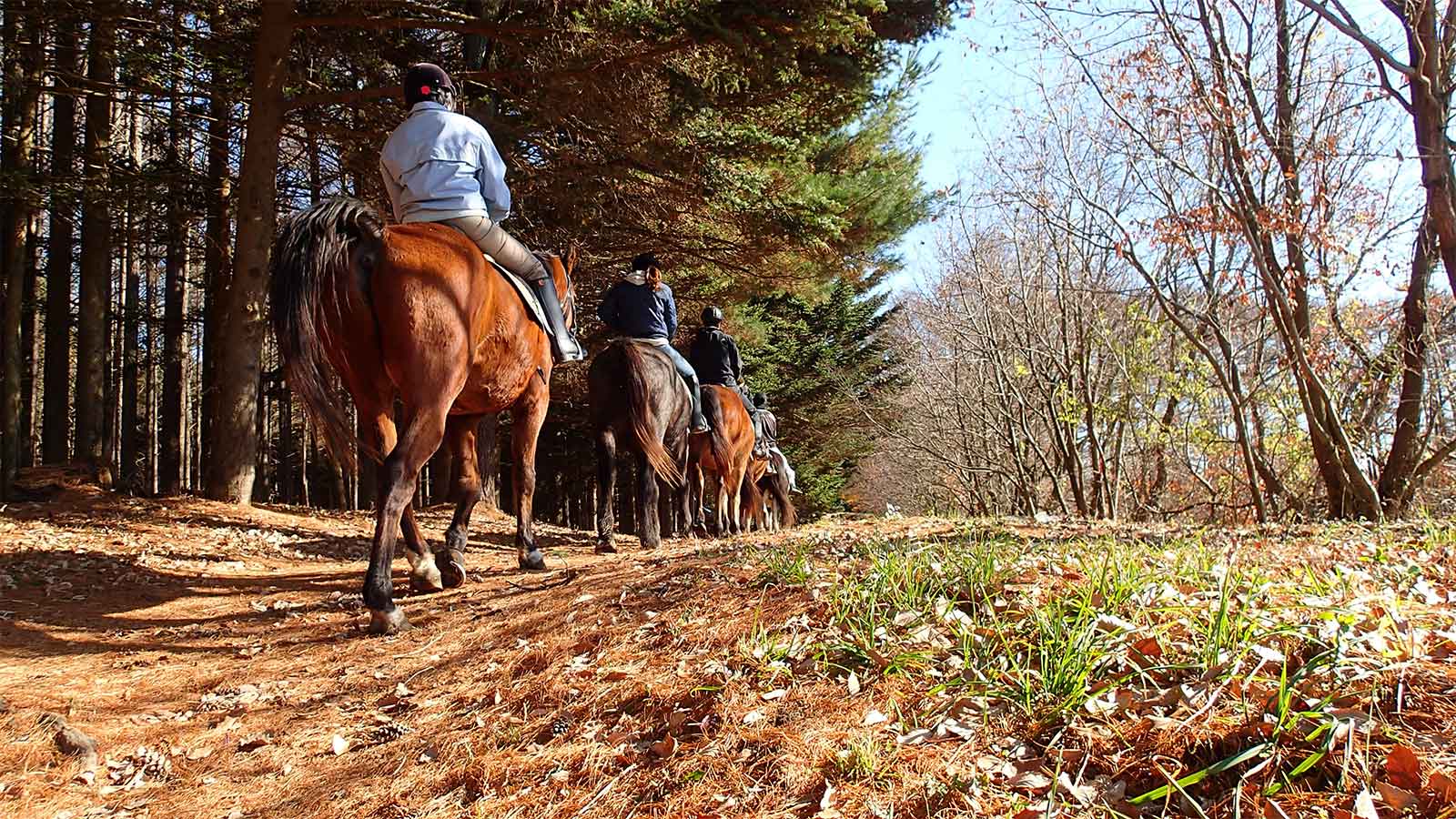 HORSEBACK TREKKING | THE HIRAMATSU KARUIZAWA MIYOTA Official Website